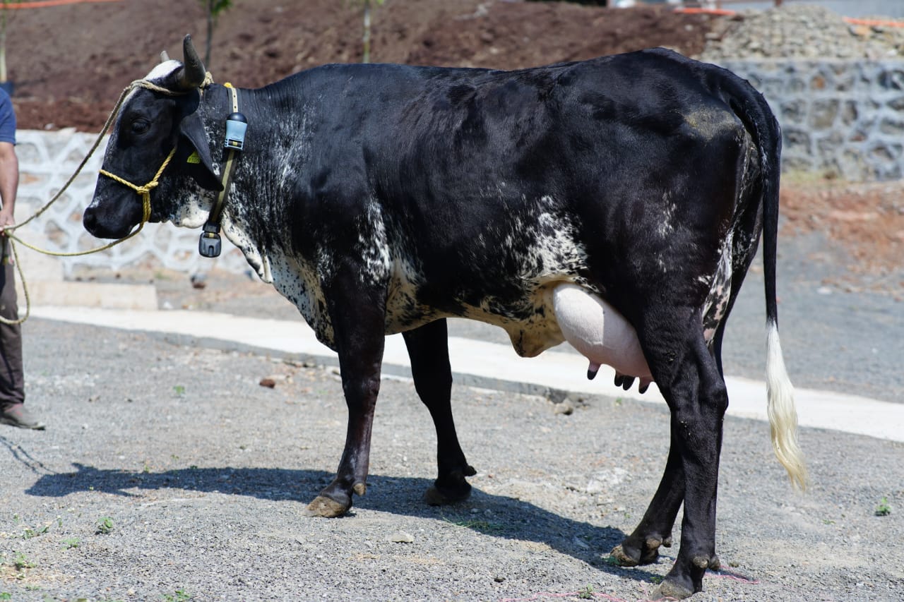 Bhadra Breeeding Center